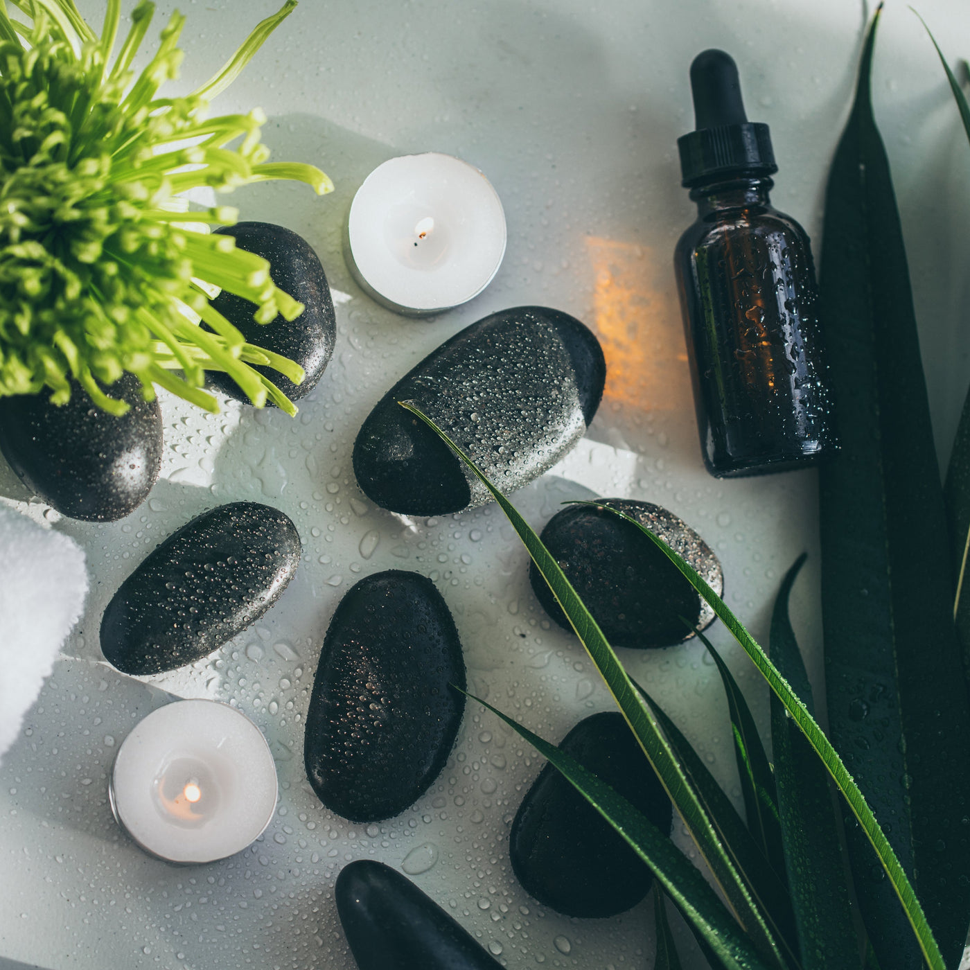 Whisper Creek Spa | Massage, Hydrafacials, Facials, Private Nail Rooms